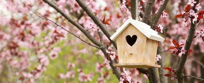 Helping Birds in Your Garden - Burston Garden Centre